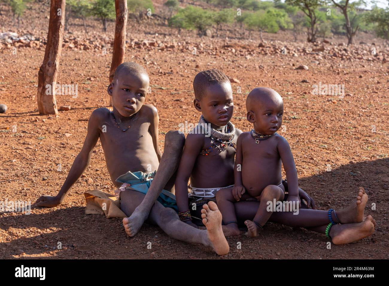 Himba children in a Himba village, Kaokoveld, Namibia, Africa Stock ...