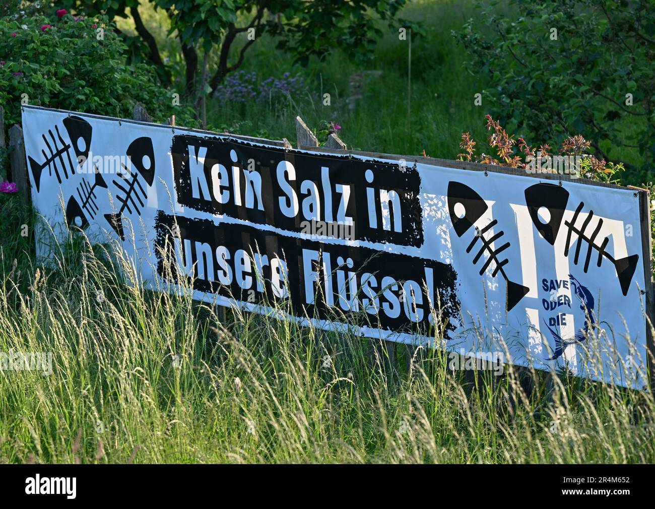28 May 2023, Brandenburg, Kienitz: Near the port of Kienitz on the ...