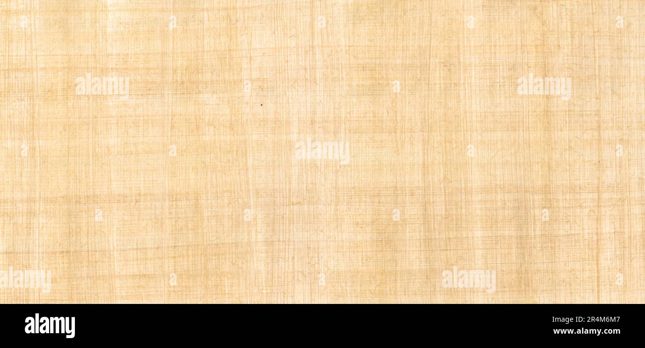 Old brown papyrus background texture. Banner wallpaper Stock Photo - Alamy