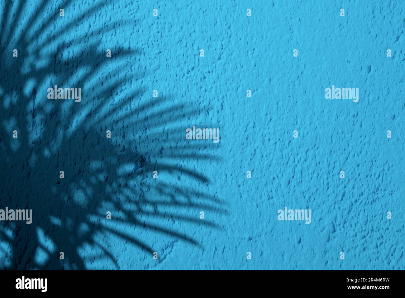 Blue textured plaster wall background with palm leaves shadow. 3D ...