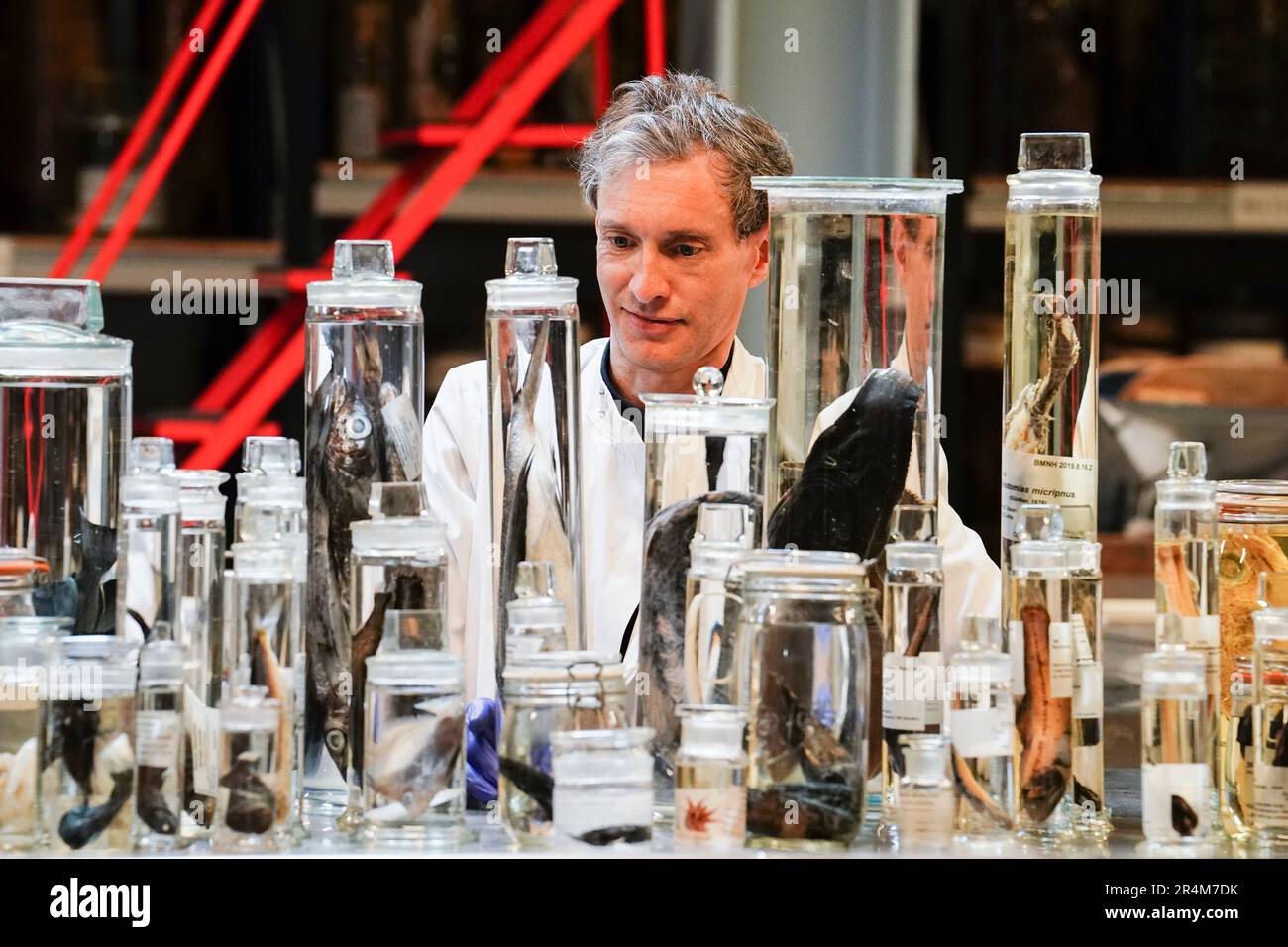 James Maclaine, senior curator of fish at the NHM, with various ...