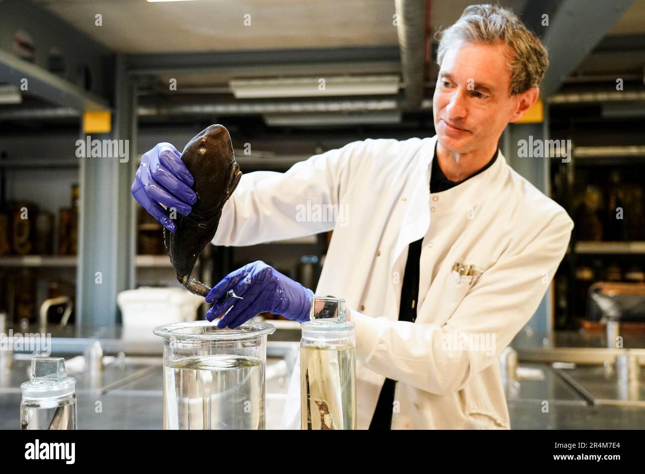 James Maclaine, senior curator of fish at the NHM, with various ...