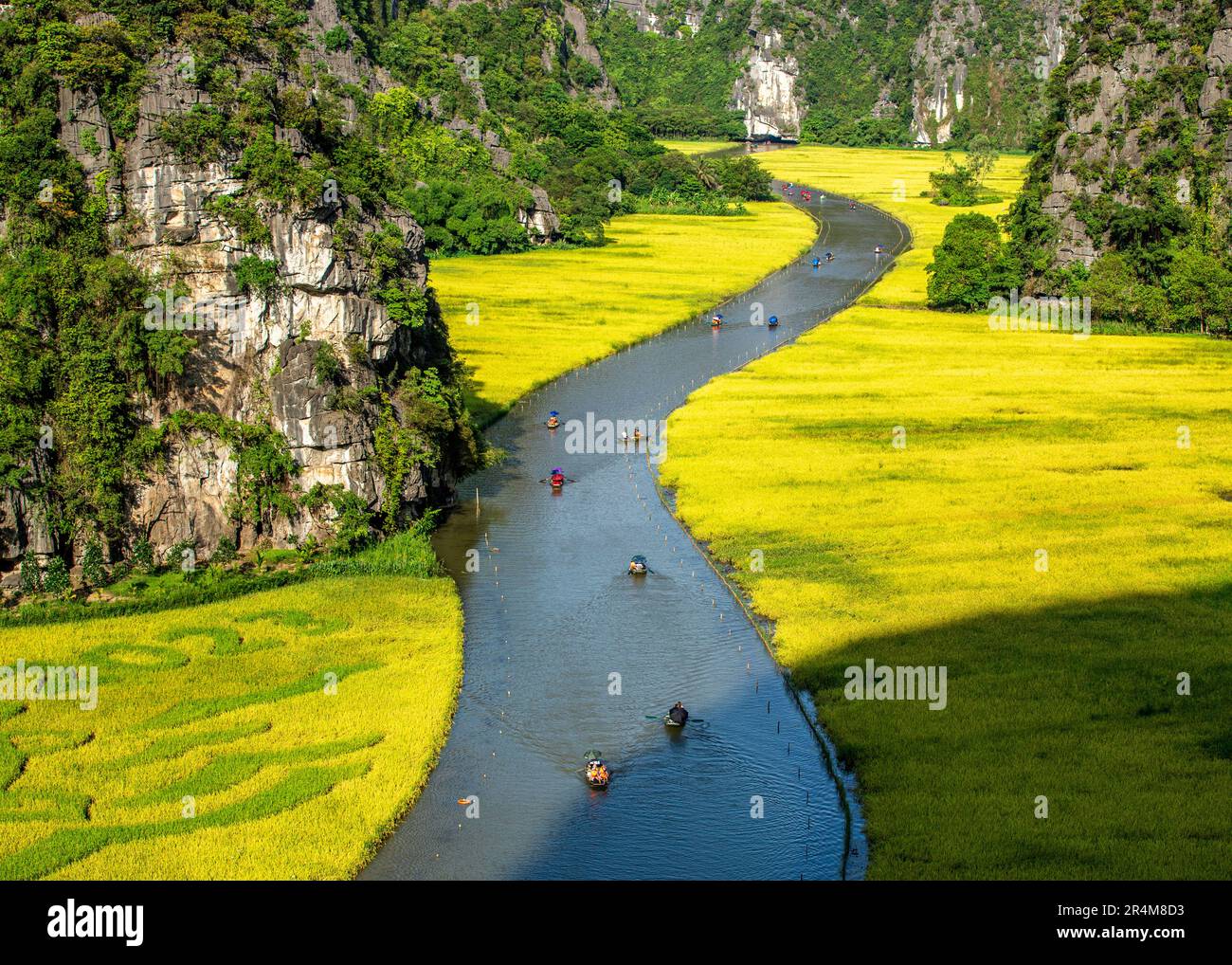 Aerial view of the tourist site with ripen rice fields along a stream ...