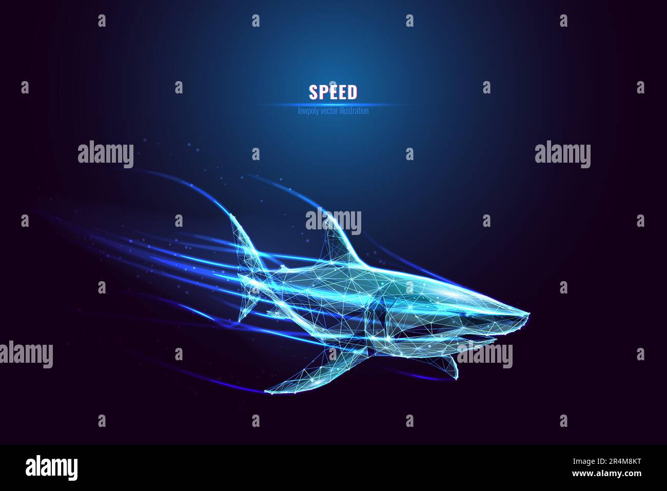 Technology Shark. High Speed Concept Stock Vector Image & Art - Alamy