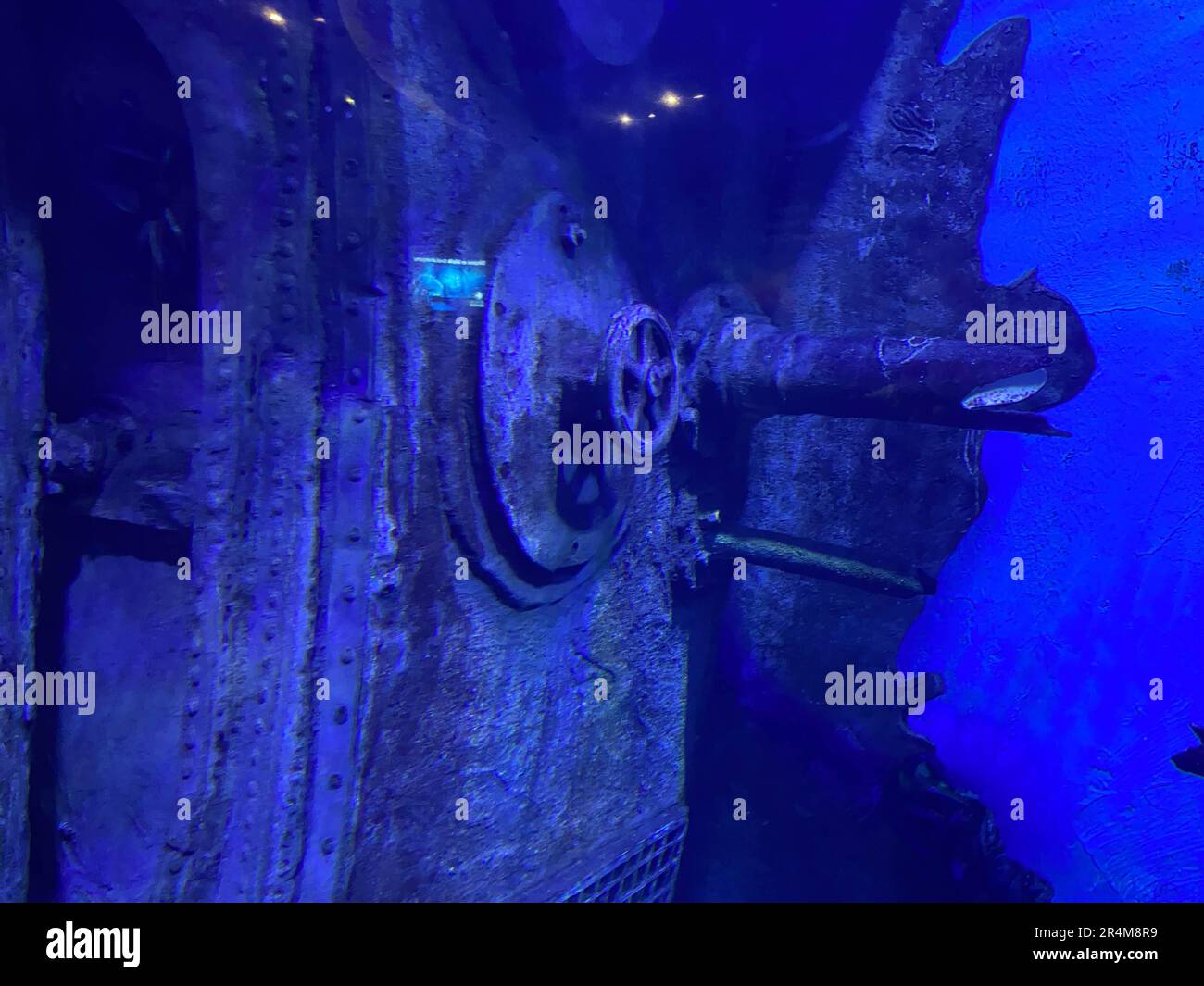 An underwater shot inside a room in the shipwreck of the Kittiwake that ...