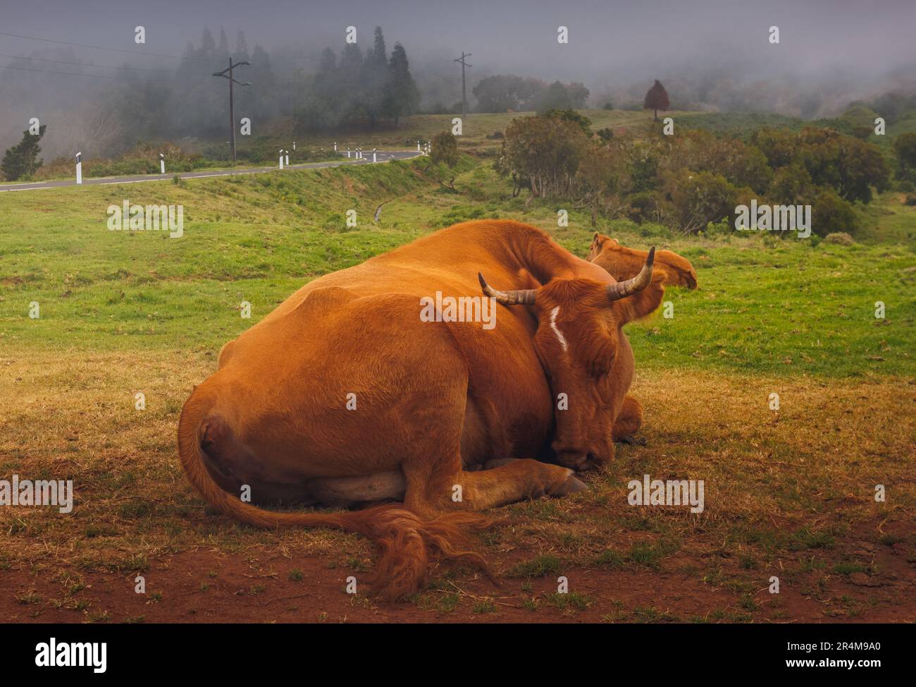 Walking tour 4k hi-res stock photography and images - Alamy