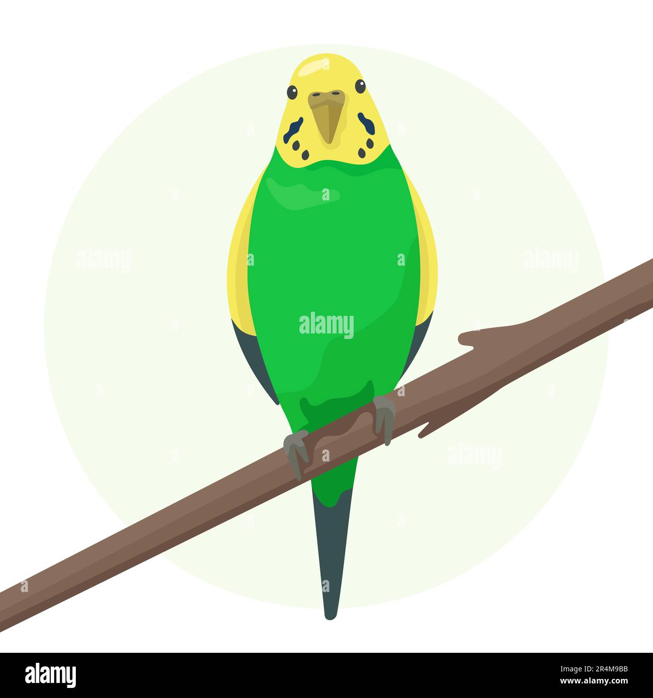 Cute flat vector parrot isolated on white background. Green small ...