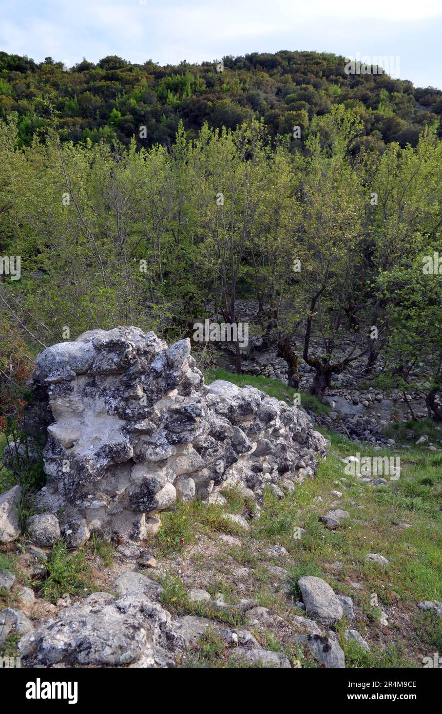 Greece, Thessaly, Larisa, Elassona Flampouro village Old watermill ...