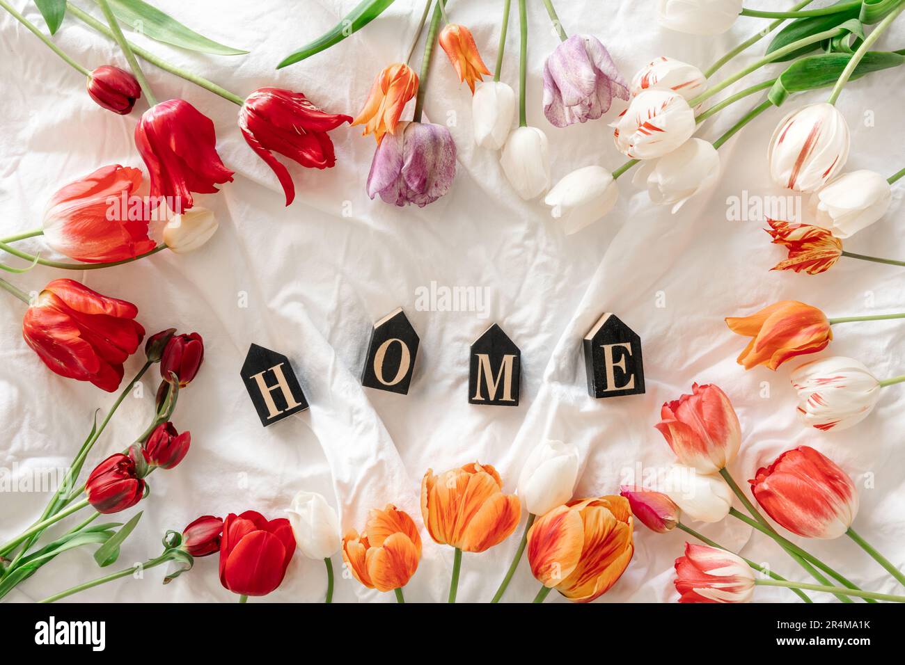 Spring background with flowers tulips and decorative word Home Stock ...