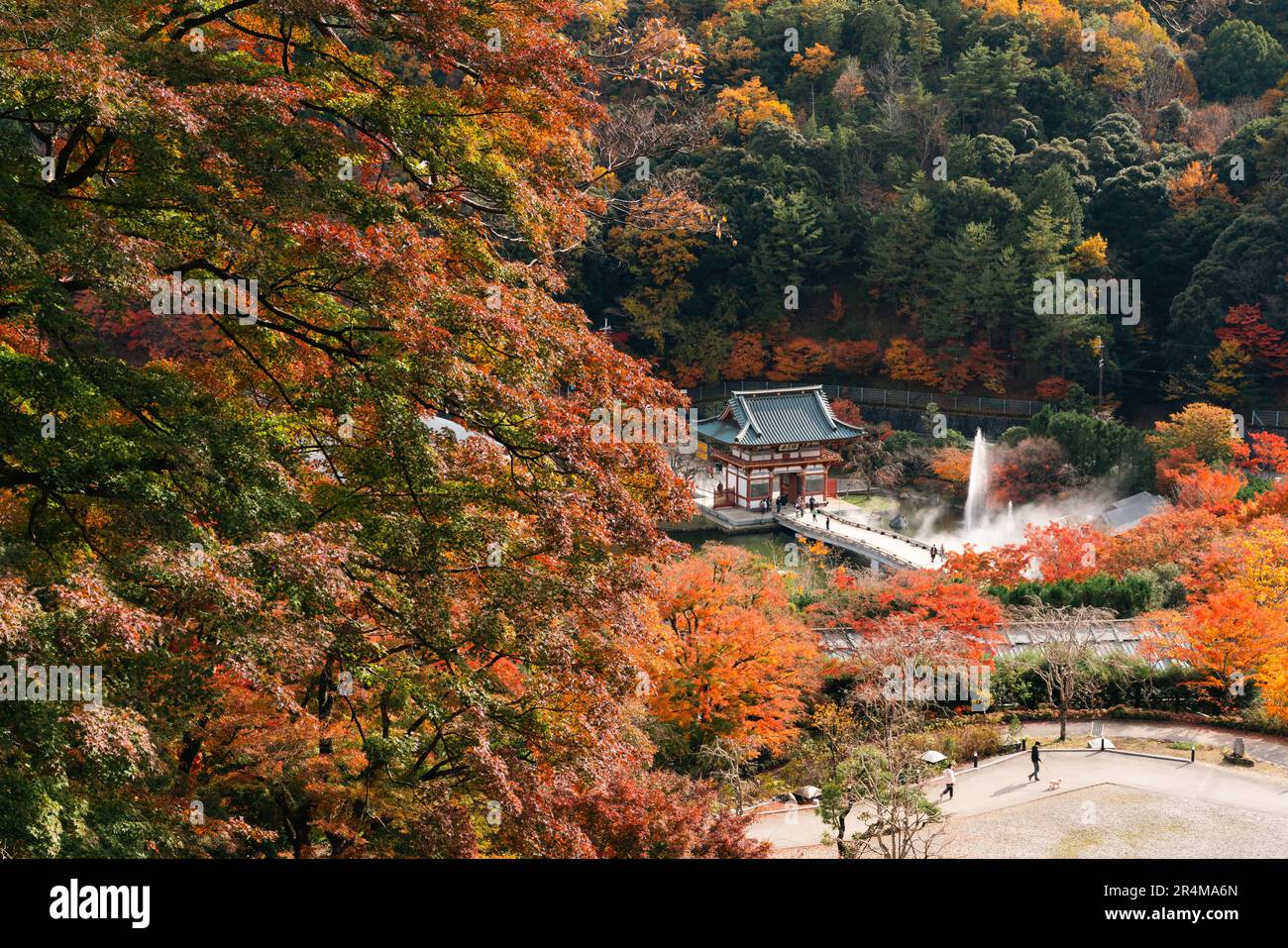 Katsuo-ji temple and autumn colorful forest in Minoh, Osaka, Japan ...