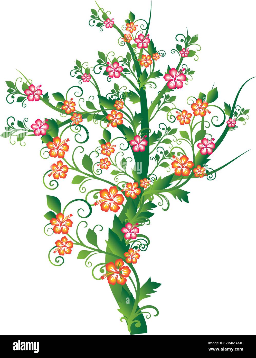 Hibiscus Plant Vector Stock Vector Image & Art - Alamy