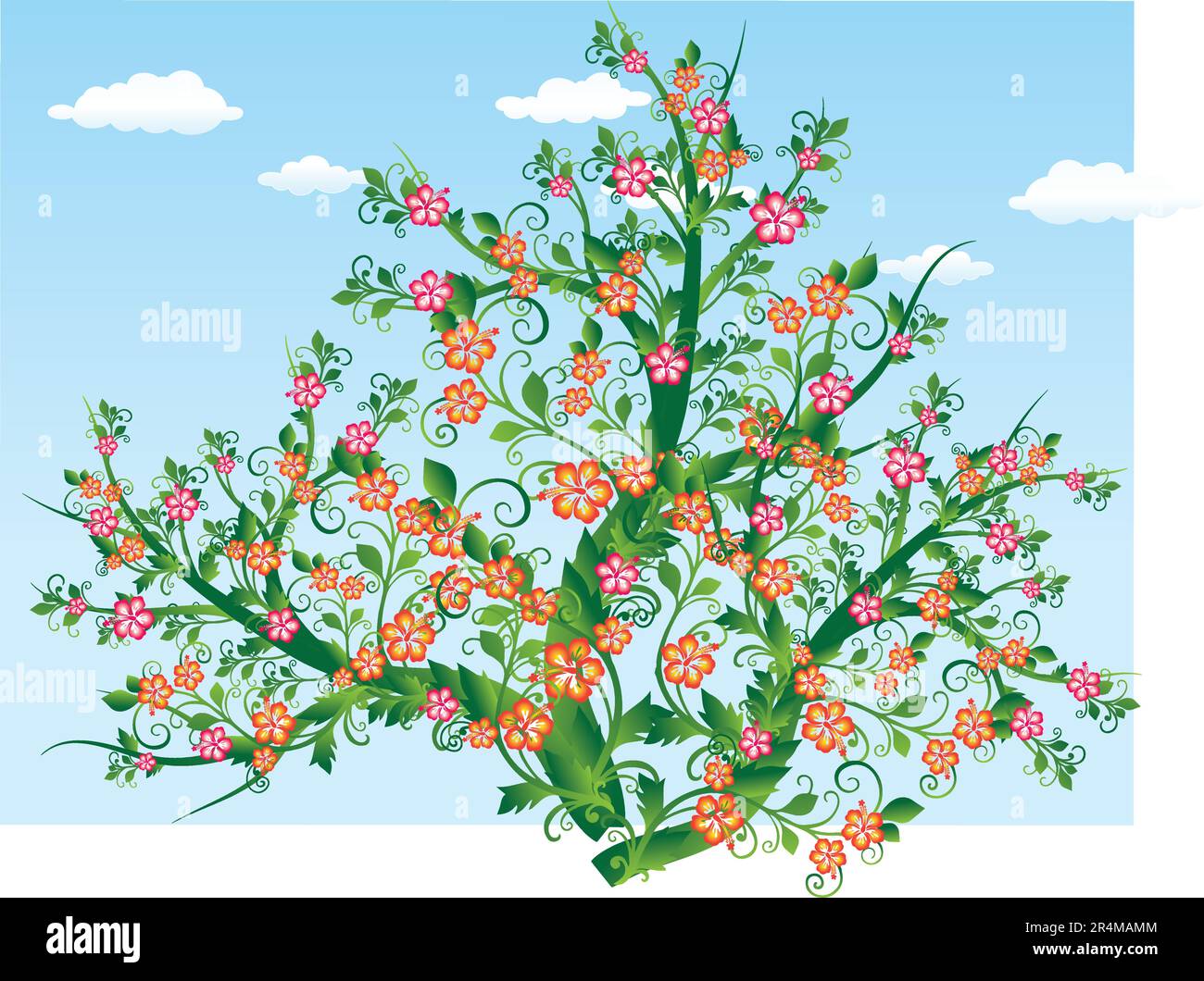 Hibiscus Plant Vector Stock Vector Image & Art - Alamy