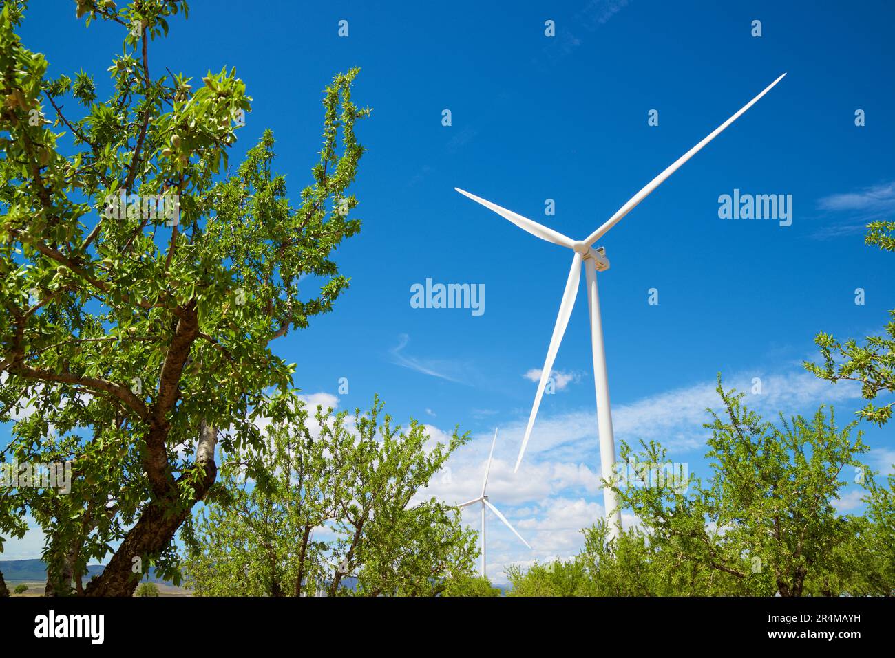 Wind turbine generators for clean electrical energy production and ...