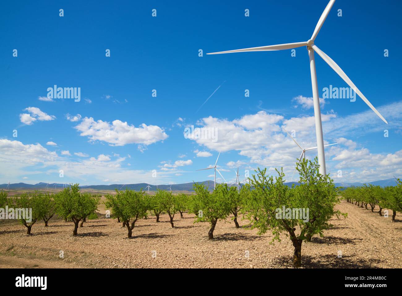 Wind turbine generators for clean electrical energy production and ...