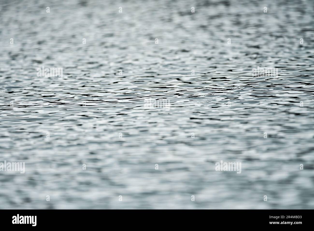 water with ripples and squiggles in light and dark abstract background ...