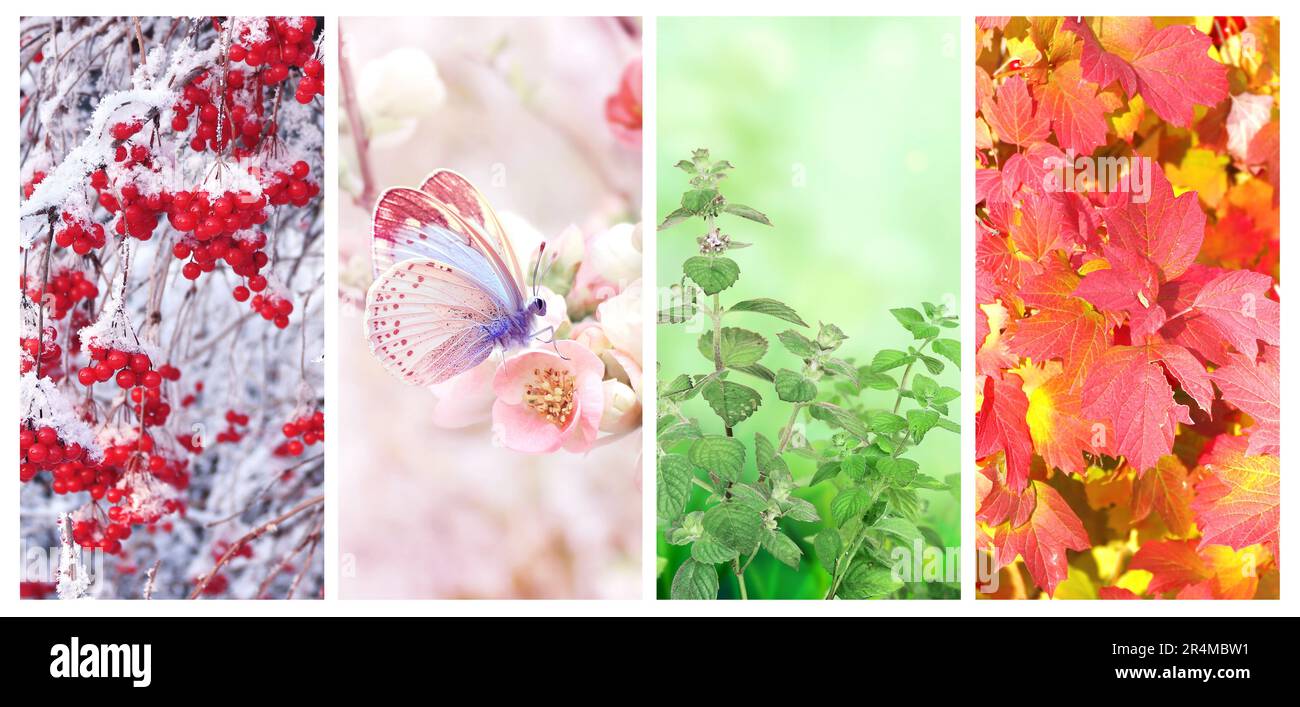 Four seasons of year. Set of vertical nature banners with winter ...