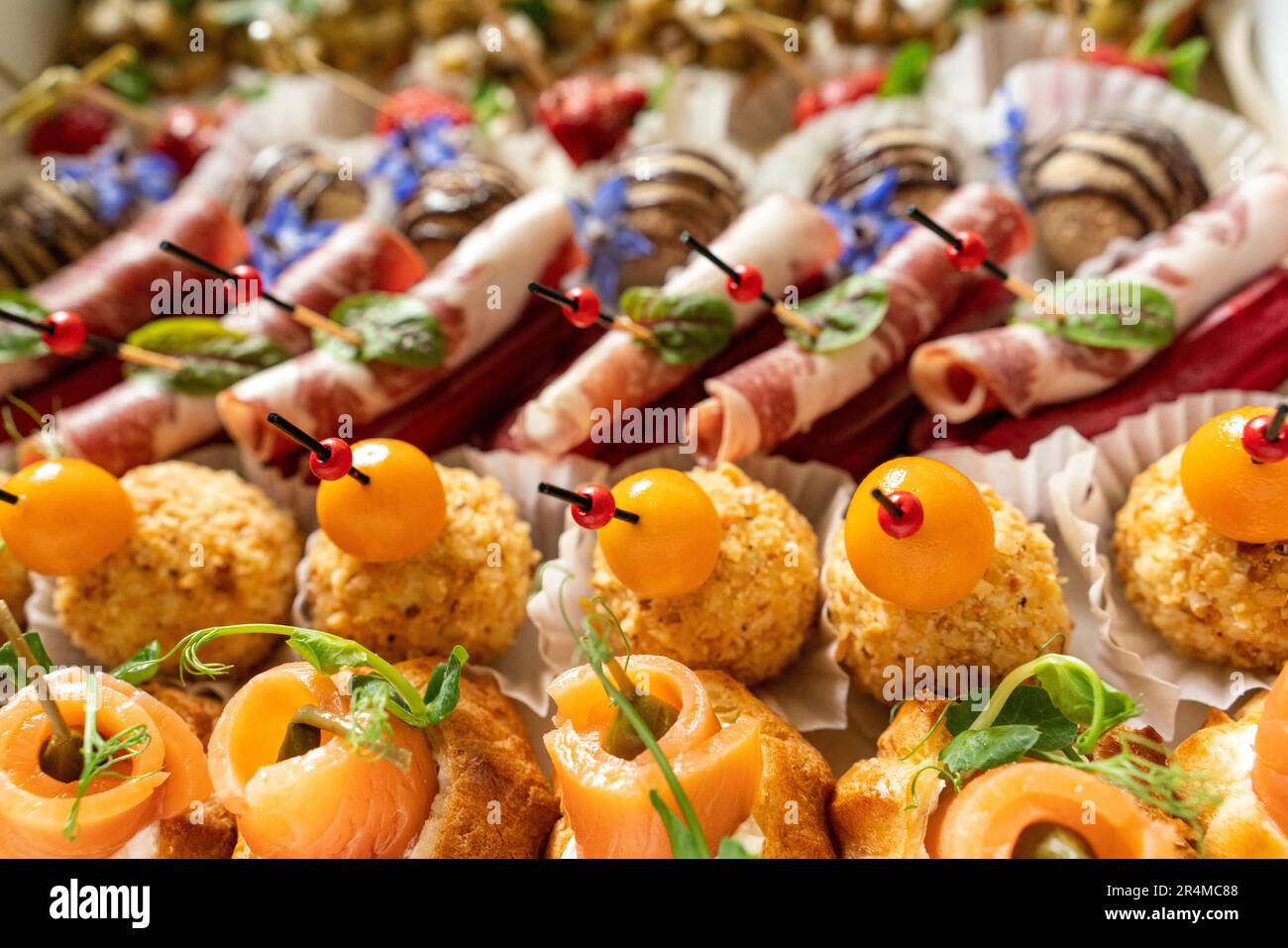 Catering service. Set of beautiful canapes. Buffet table. Shallow depth ...