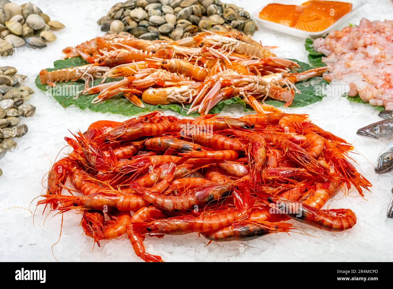 Fresh prawns for sale at a market in Barcelona Stock Photo - Alamy
