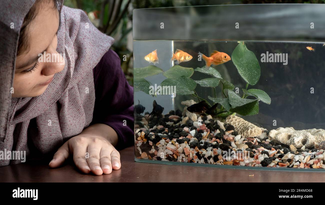 Muslim women enjoying goldfish in fish tank at aquarium Stock Photo - Alamy