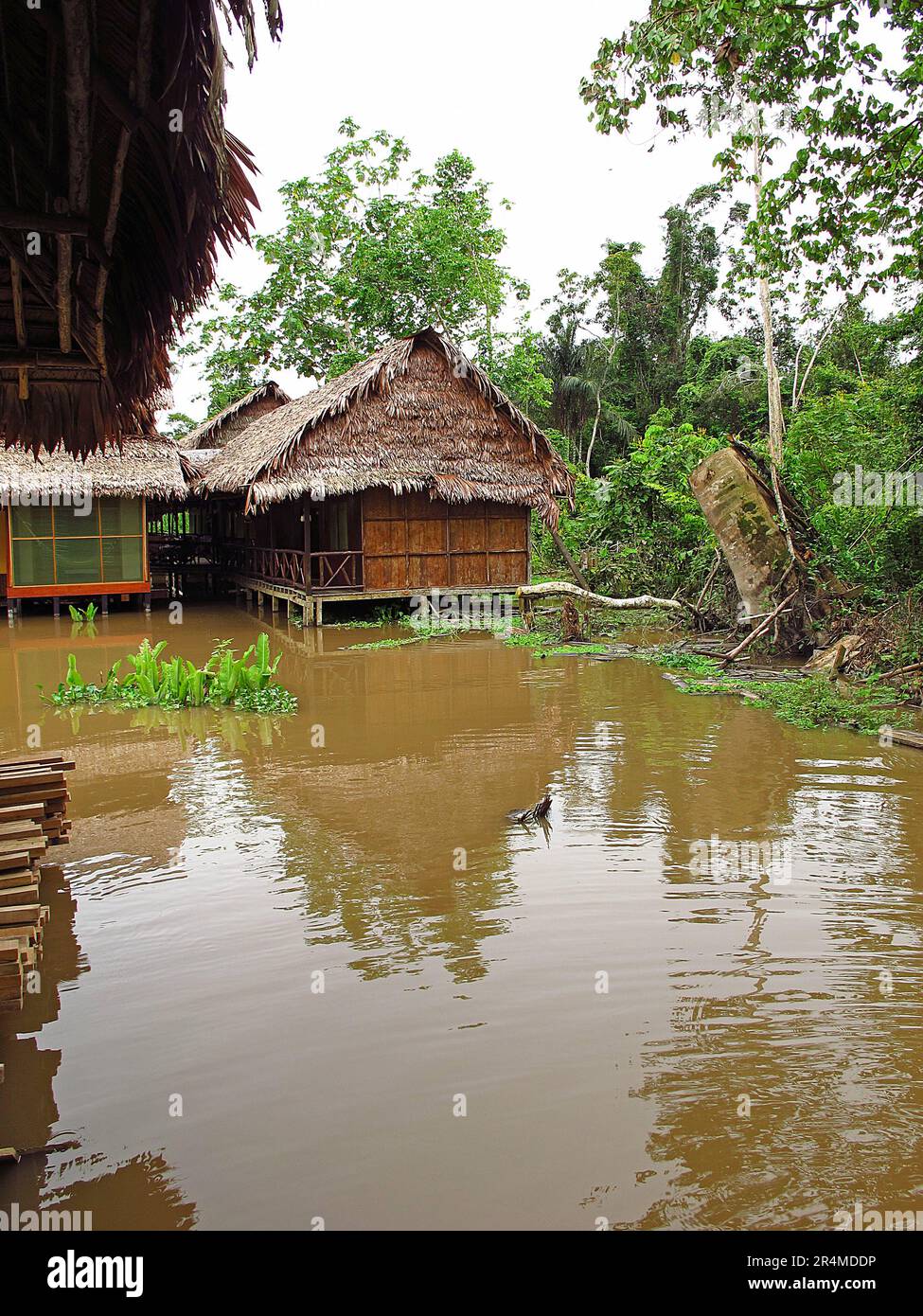 The house in Amazon river in Peru Stock Photo - Alamy