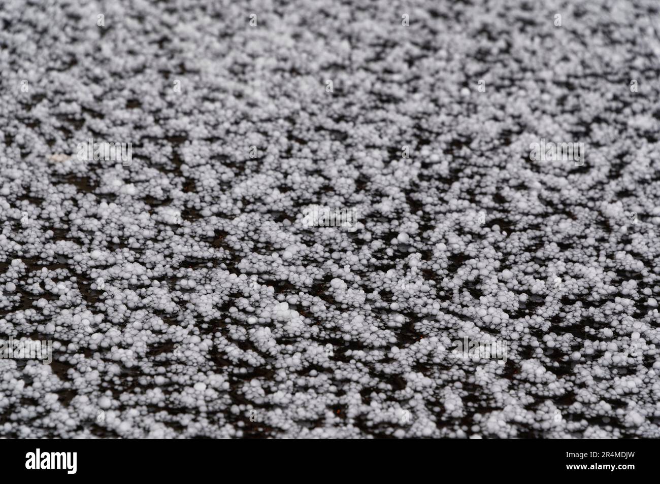 Hail stones sit accumulated on a pavement after a sudden, violent storm ...