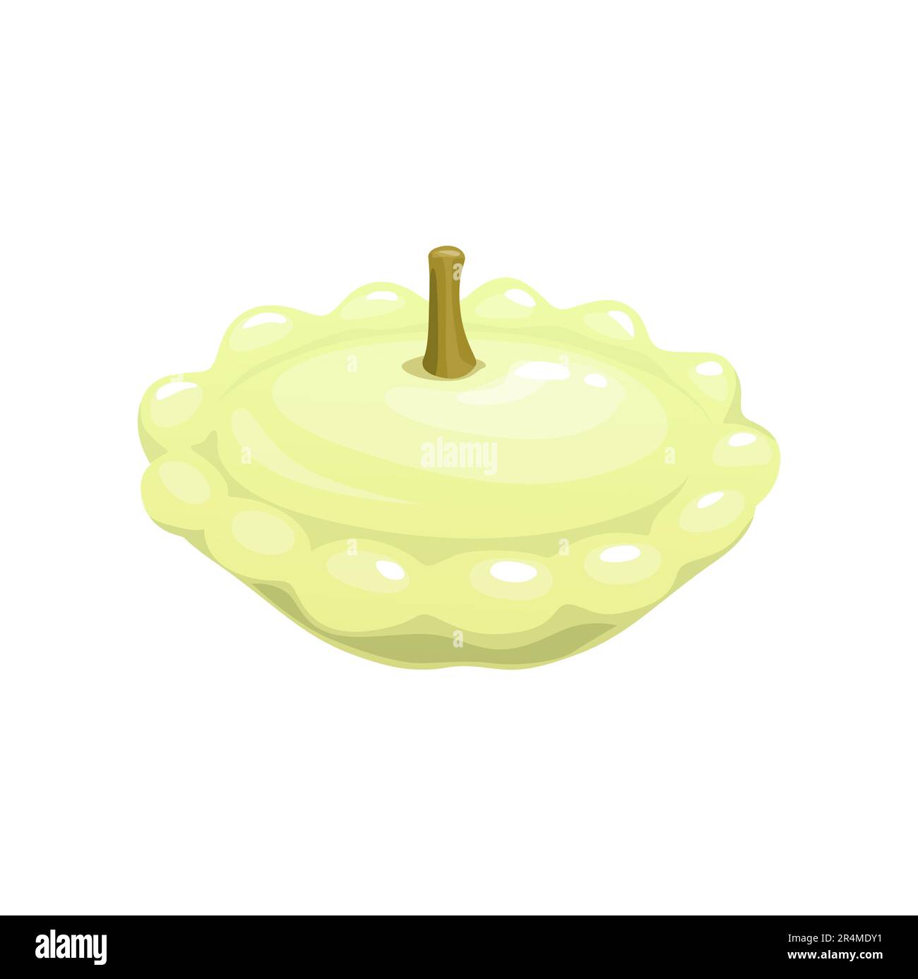 Cartoon raw squash vegetable, vector farm veggie food. White summer ...