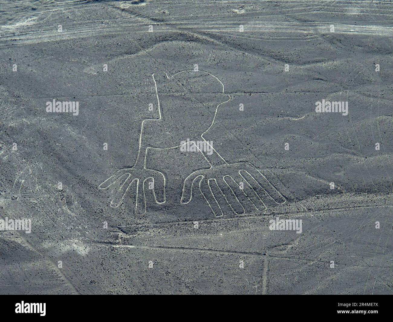The Nazca lines in Peru in South America Stock Photo - Alamy