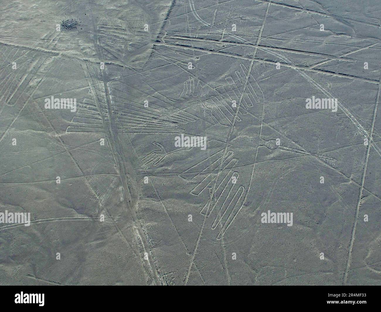 The Nazca lines in Peru in South America Stock Photo - Alamy