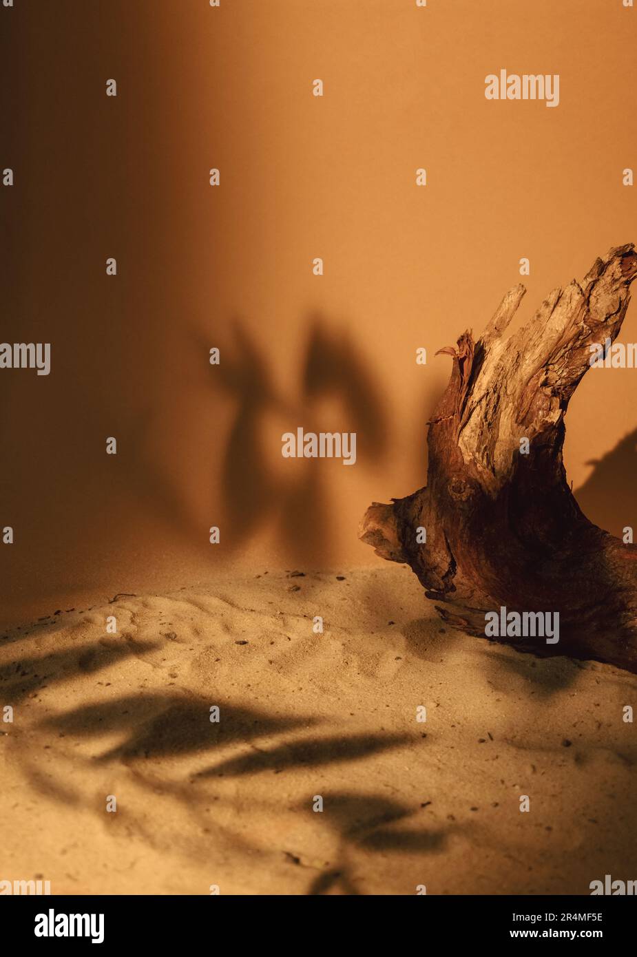 Sand background nature composition dry wood bark Stock Photo - Alamy