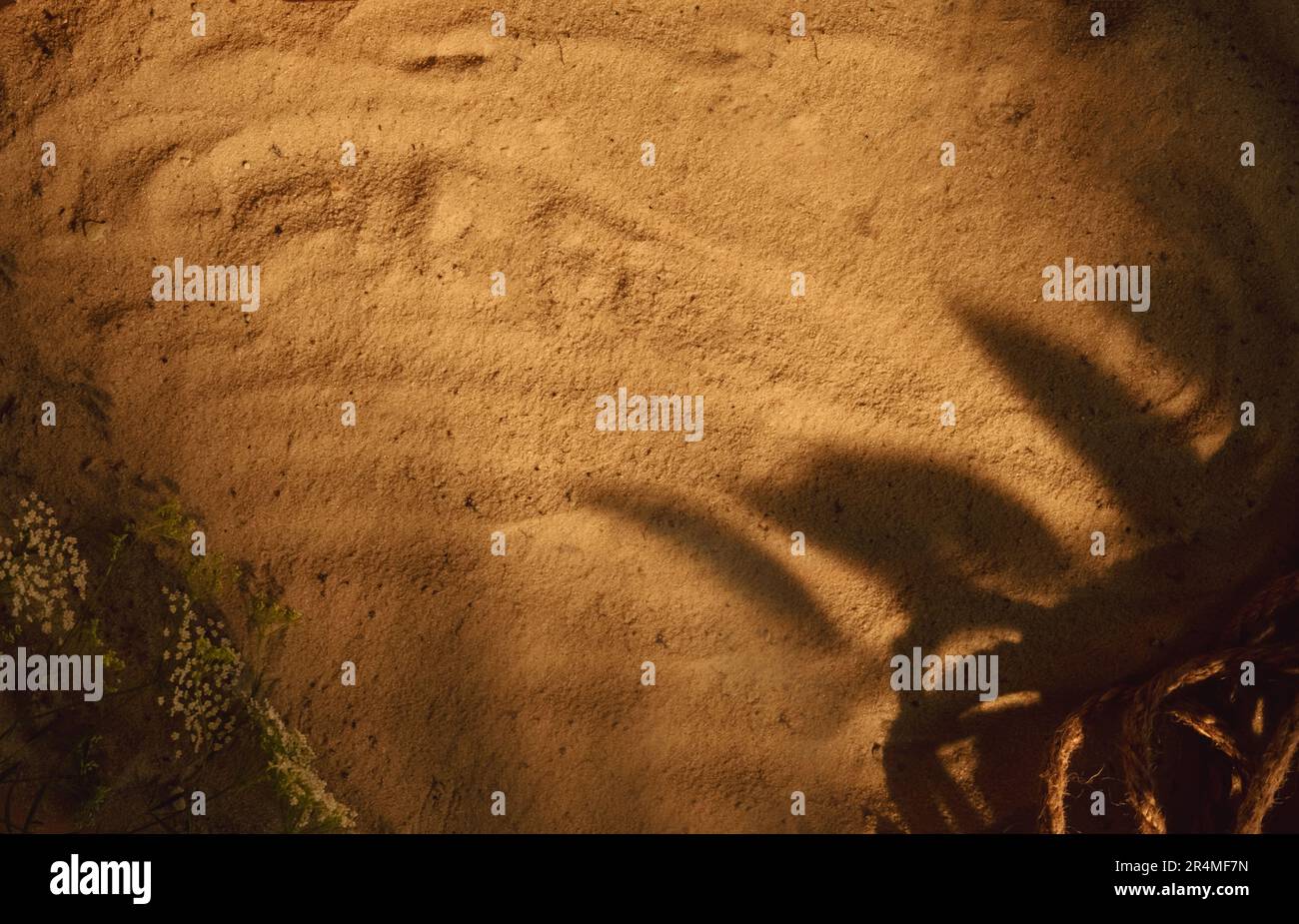 Sand background nature decoration flowers rope Stock Photo - Alamy