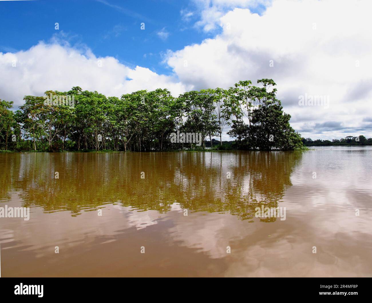 The Amazon river in Peru, South America Stock Photo - Alamy