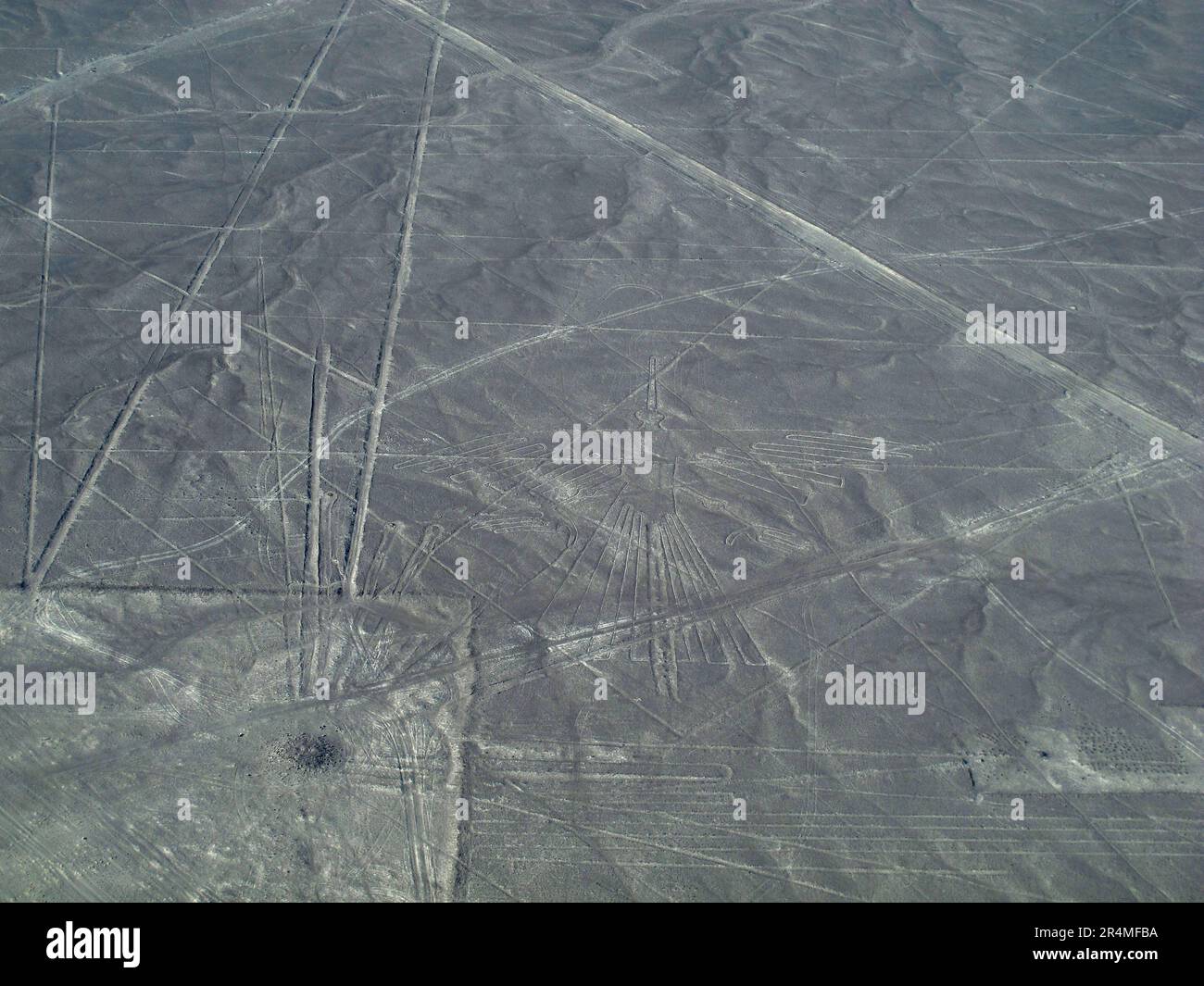 The Nazca lines in Peru in South America Stock Photo - Alamy