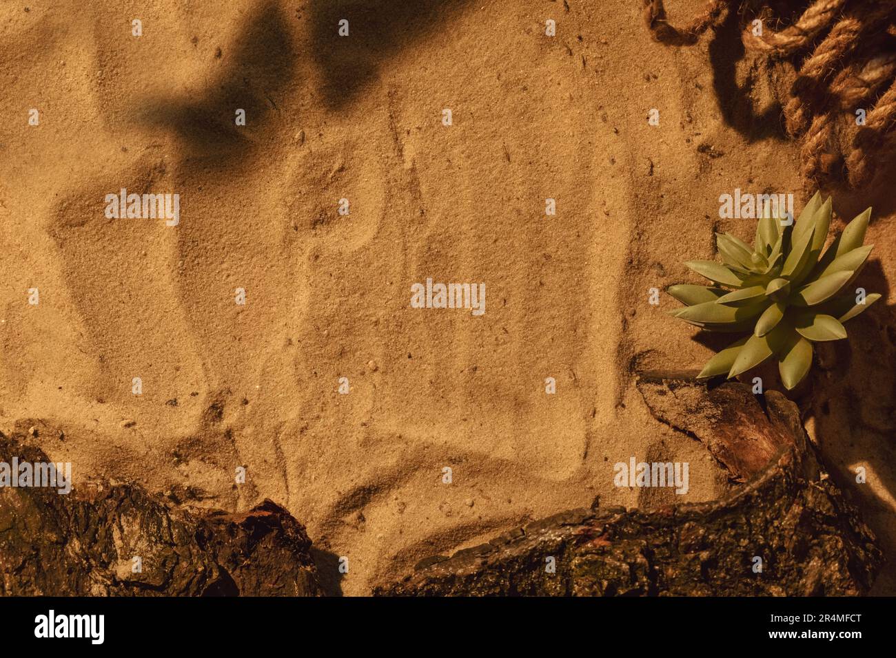 Sand frame nature background wood bark succulent Stock Photo - Alamy
