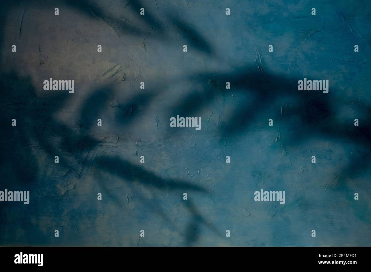 Leaves shadow natural background foliage on blue Stock Photo - Alamy