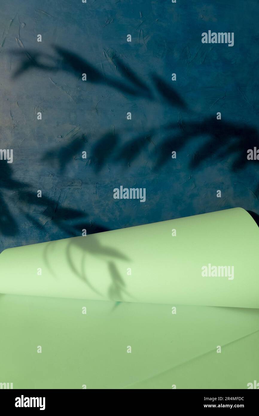 Showcase background product placement leaves paper Stock Photo - Alamy