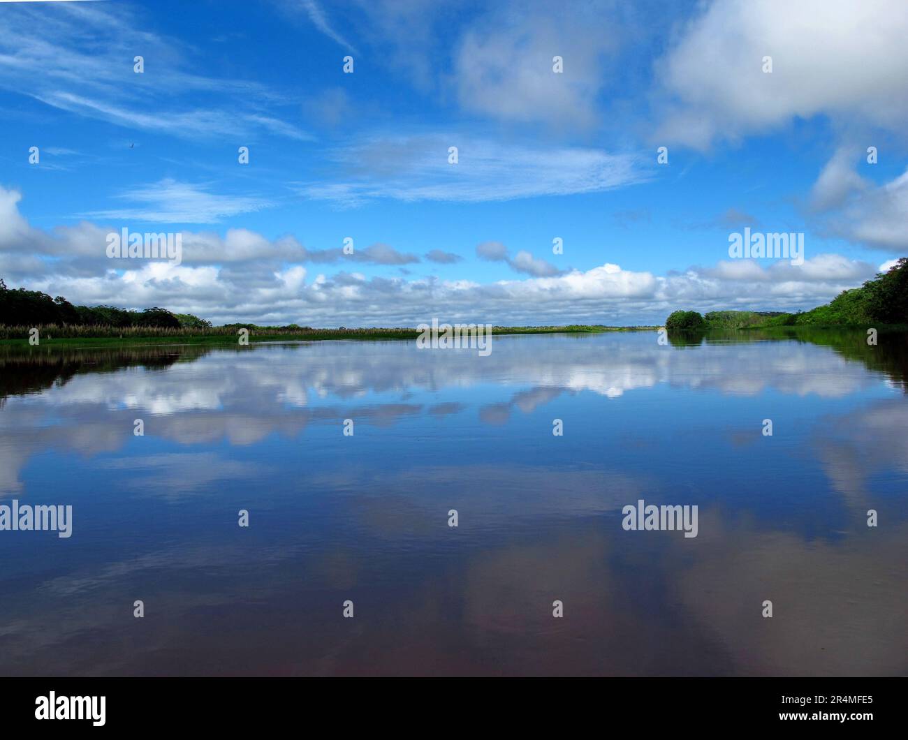 The Amazon river in Peru, South America Stock Photo - Alamy