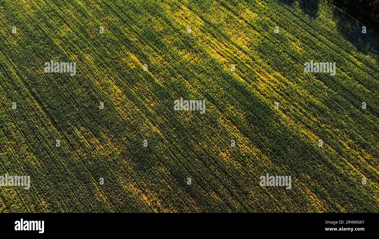 Agricultural fields, Isere valley, Drome, France Stock Photo - Alamy