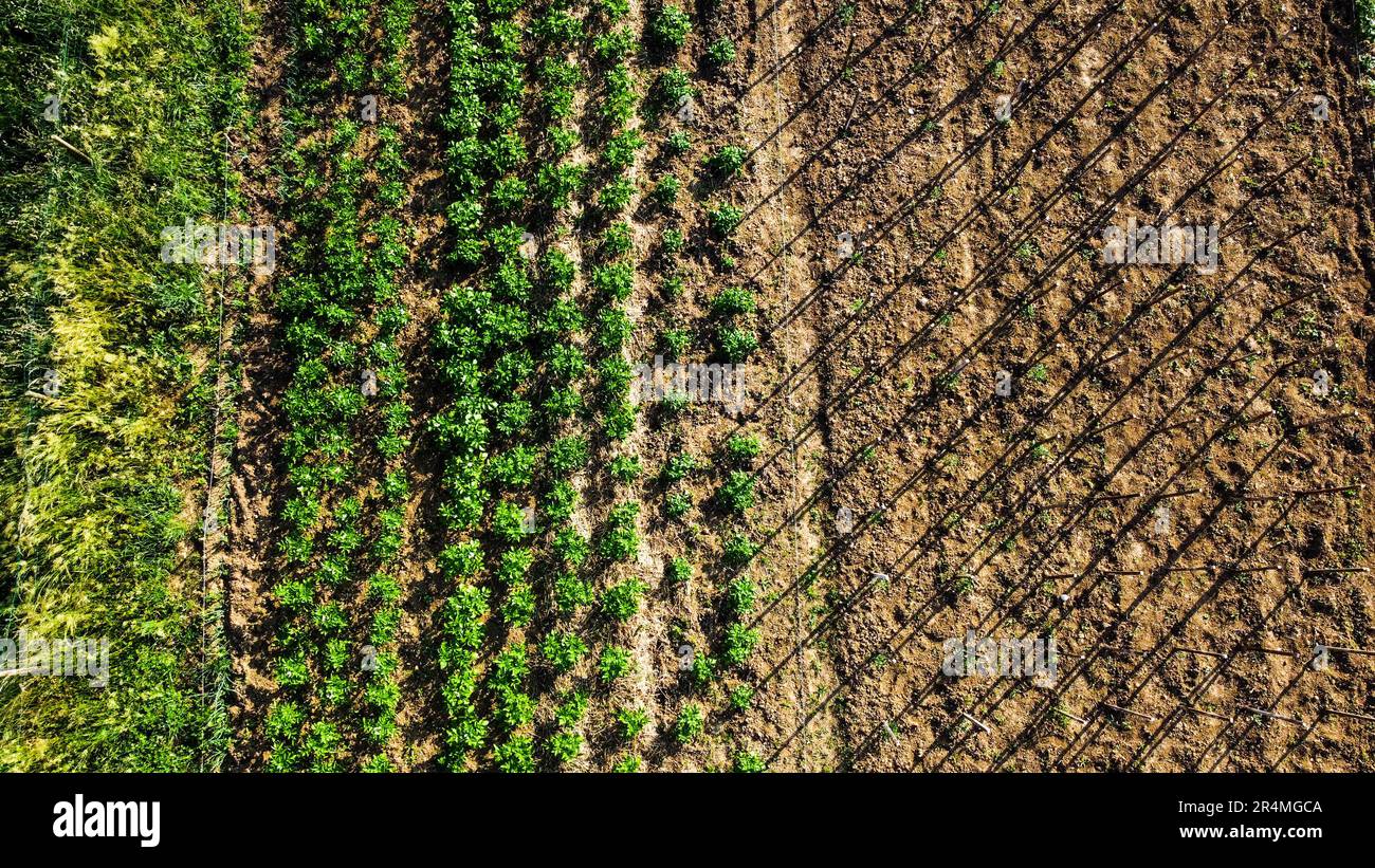 Agricultural fields, Isere valley, Drome, France Stock Photo - Alamy