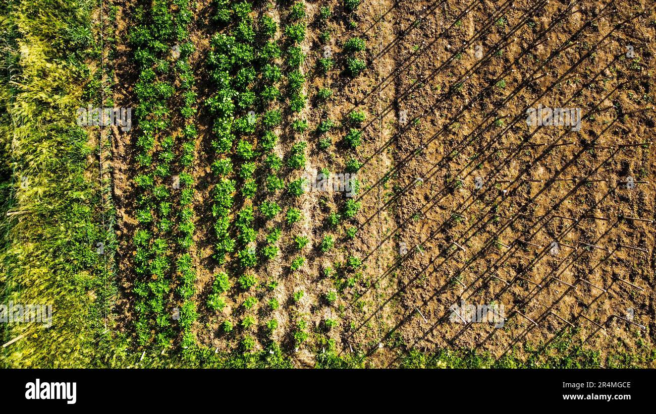 Agricultural fields, Isere valley, Drome, France Stock Photo - Alamy