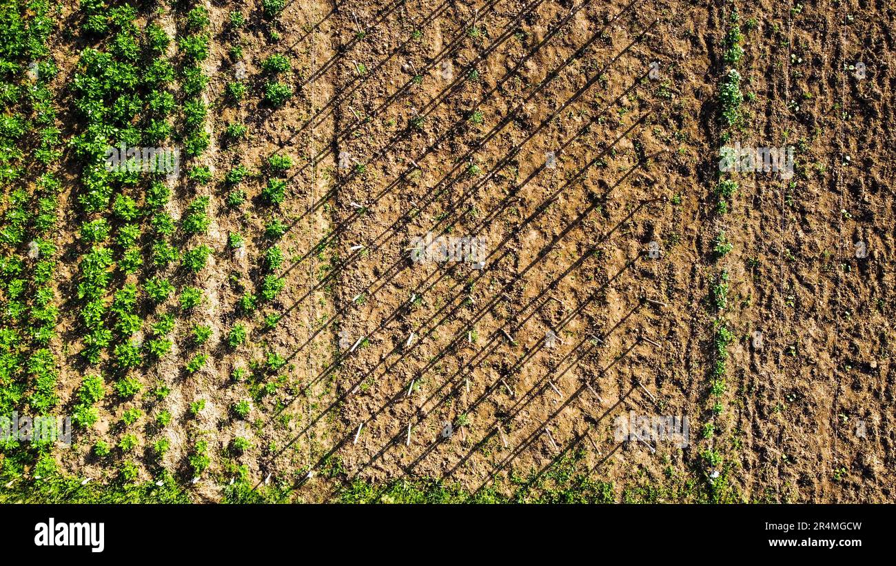 Agricultural fields, Isere valley, Drome, France Stock Photo - Alamy
