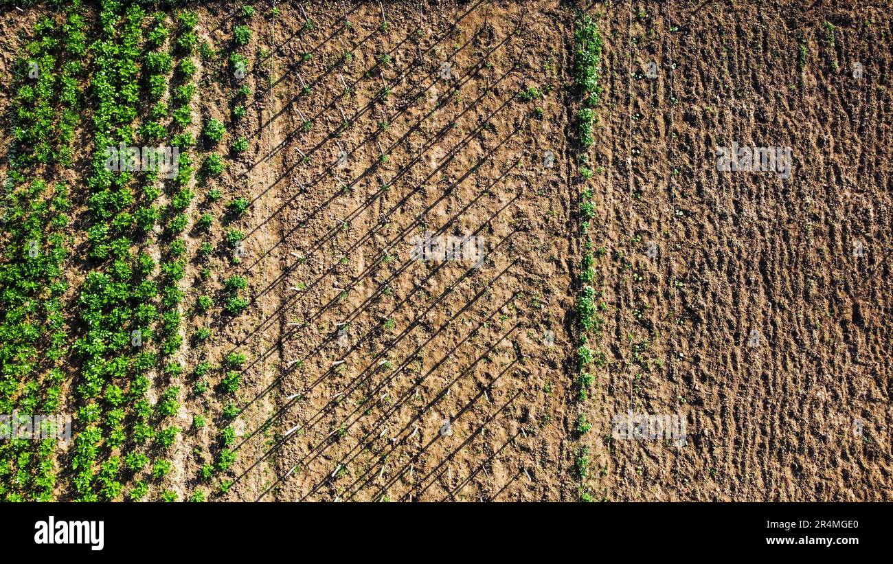 Agricultural fields, Isere valley, Drome, France Stock Photo - Alamy