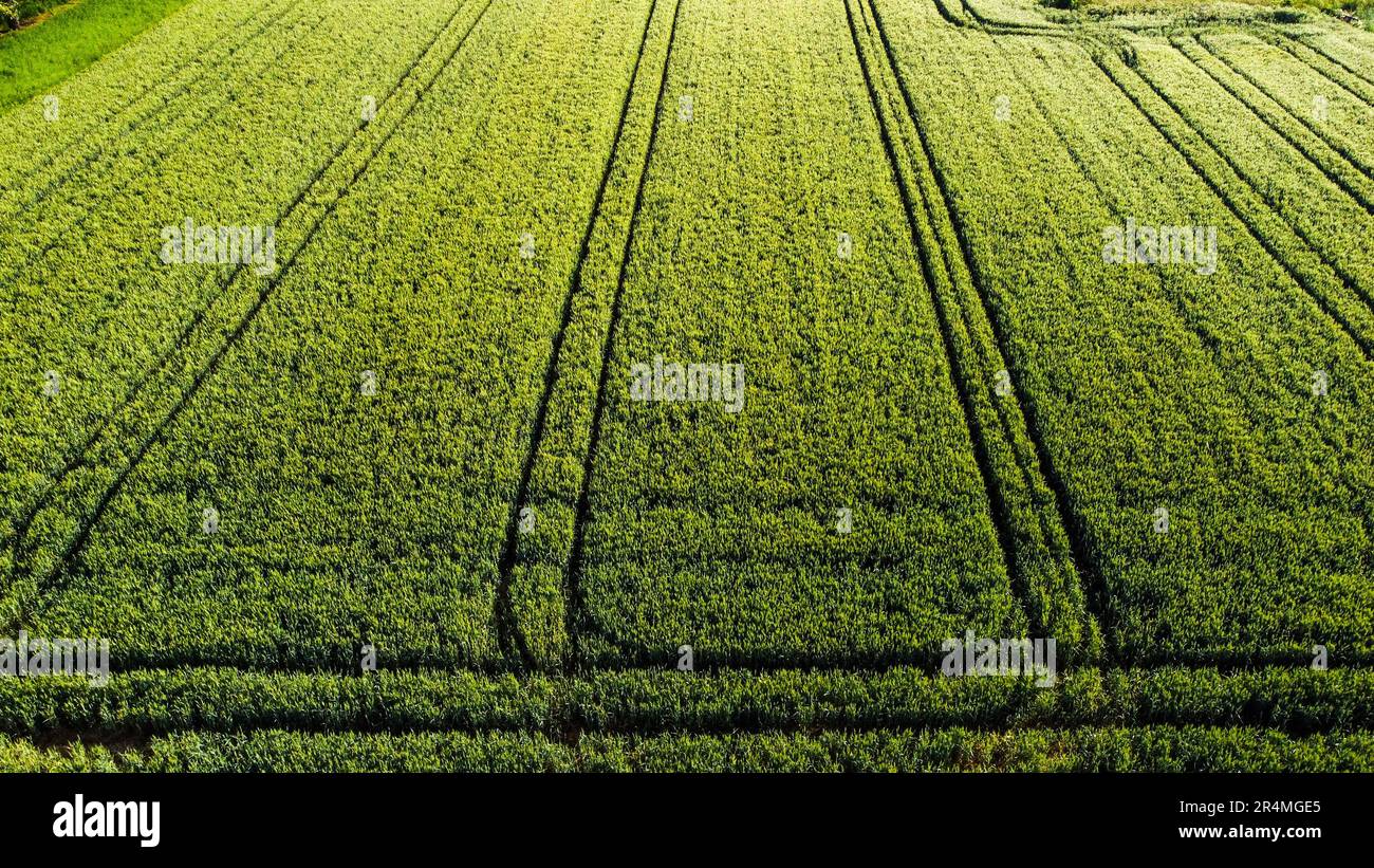 Agricultural fields, Isere valley, Drome, France Stock Photo - Alamy