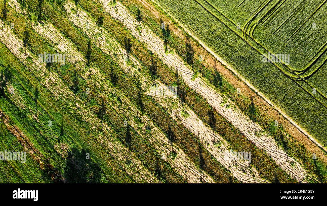 Agricultural fields, Isere valley, Drome, France Stock Photo - Alamy