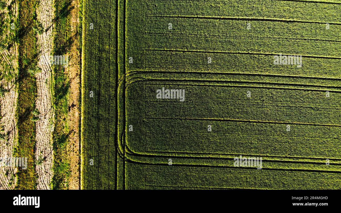 Agricultural fields, Isere valley, Drome, France Stock Photo - Alamy