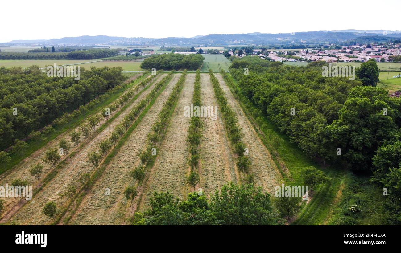 Agricultural fields, Isere valley, Drome, France Stock Photo - Alamy