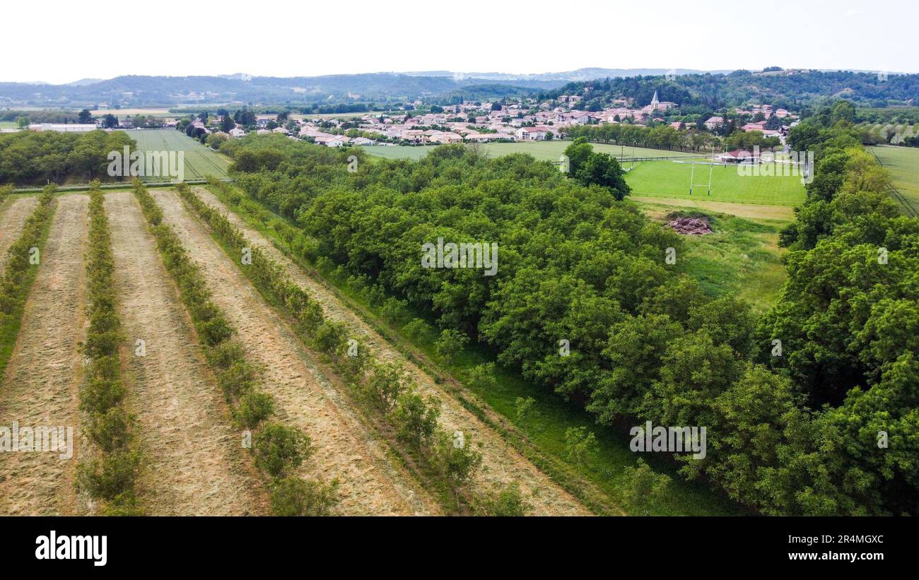 Agricultural fields, Isere valley, Drome, France Stock Photo - Alamy