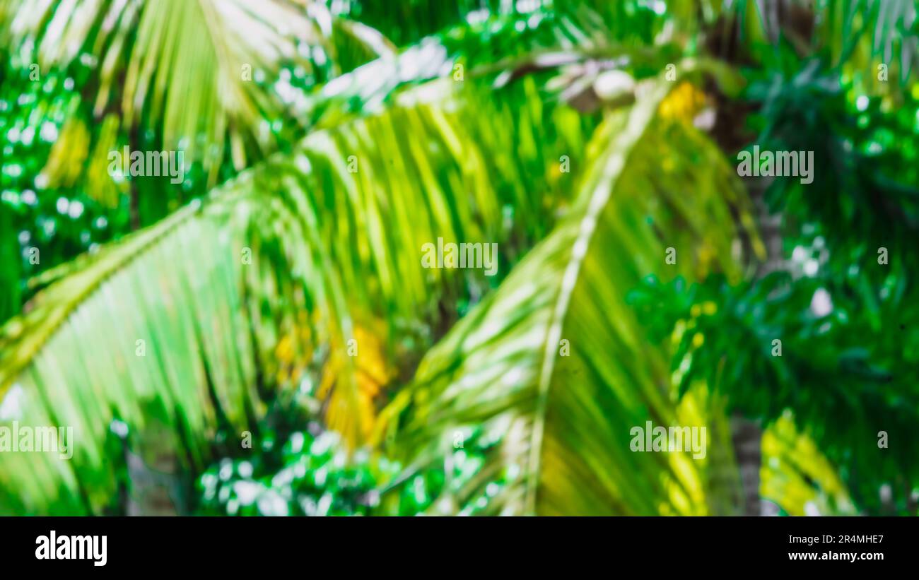 Abstract Nature Blurred dynamic motion lines defocused light bright ...