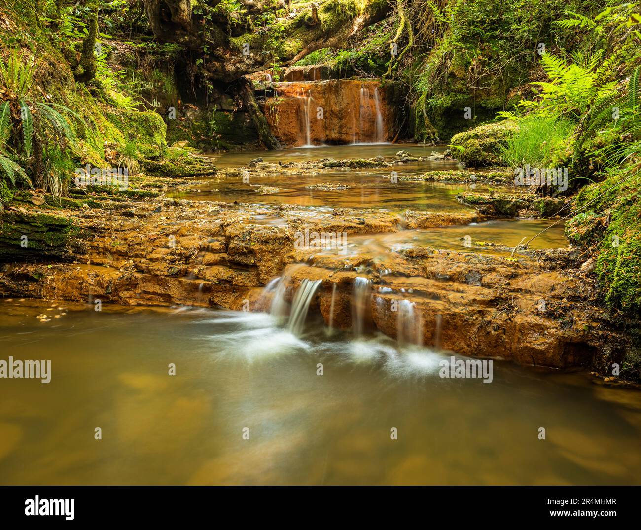 Willingford hi-res stock photography and images - Alamy