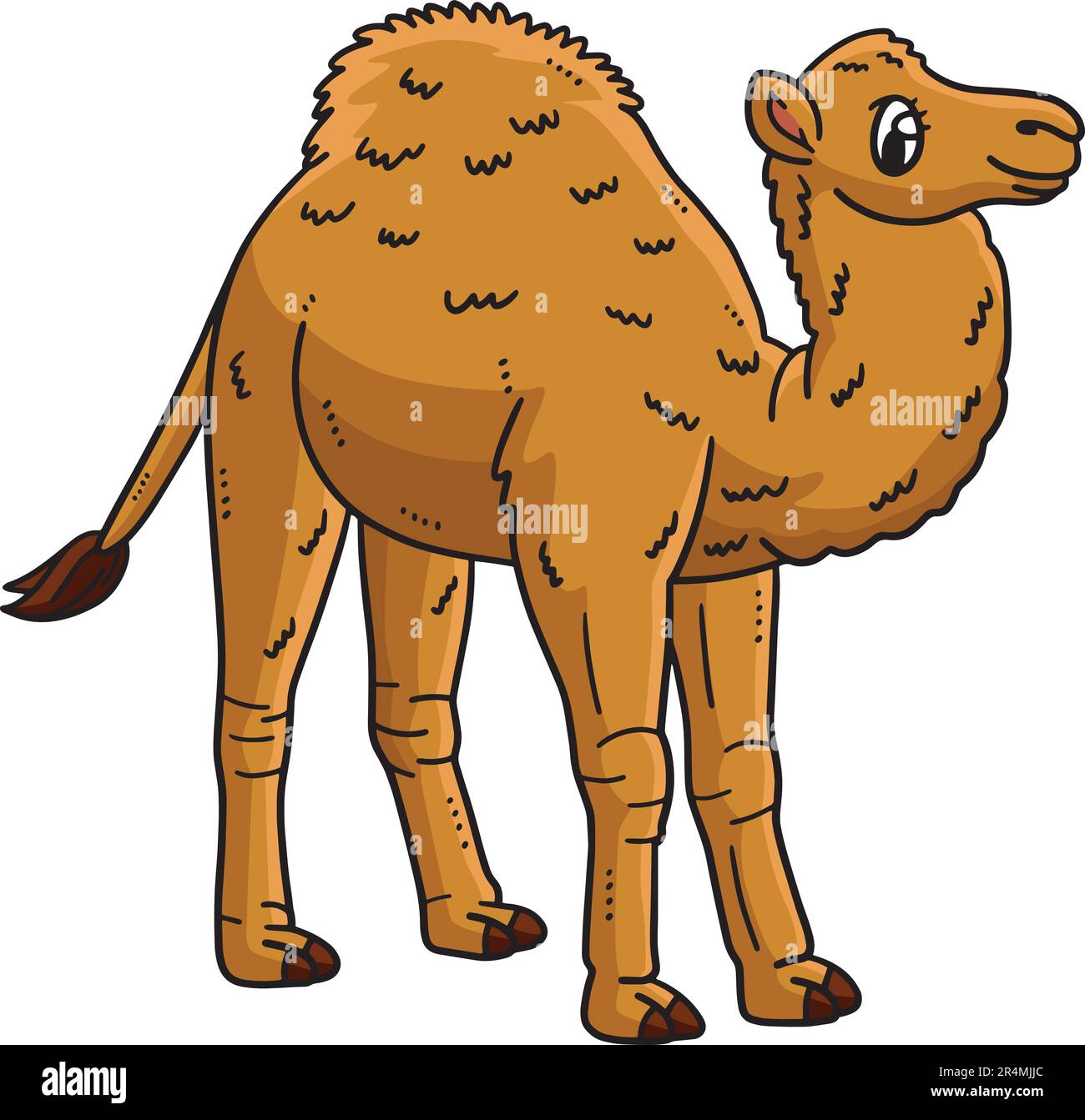 Mother Dromedary Cartoon Colored Clipart Stock Vector Image & Art - Alamy