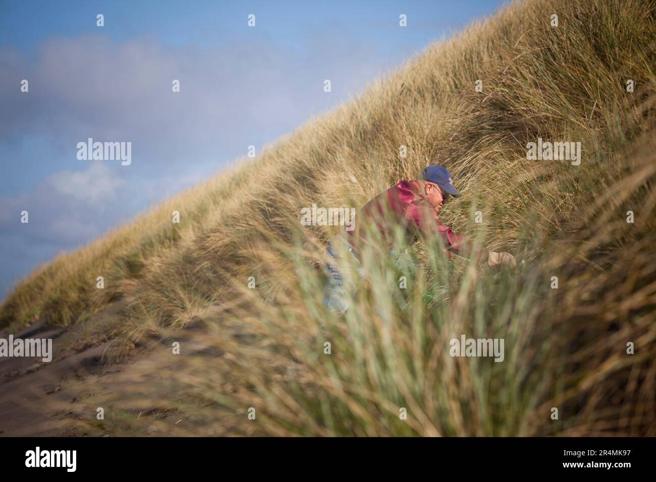 Ft Stevens State Park beach, Oregon. Stan Hurd of Hammond, Oregon picks ...